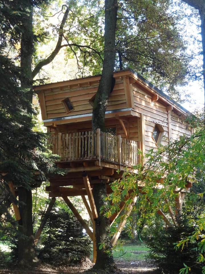 La Cabane de Rémi - Le Monde de Charlie